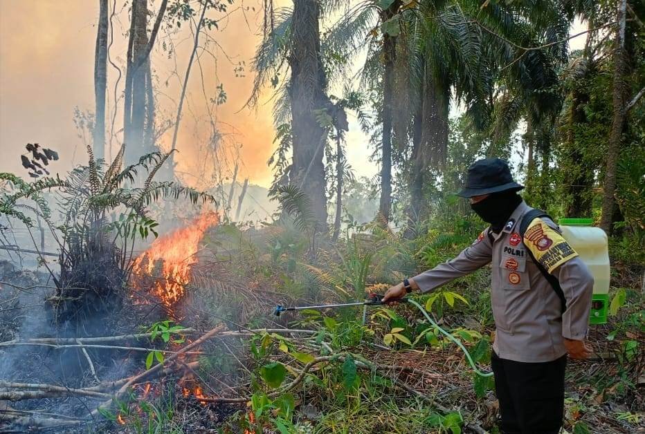 Gerak Cepat Aparat Tayan Hulu Pastikan Api Karhutla Padam di Lokasi ...